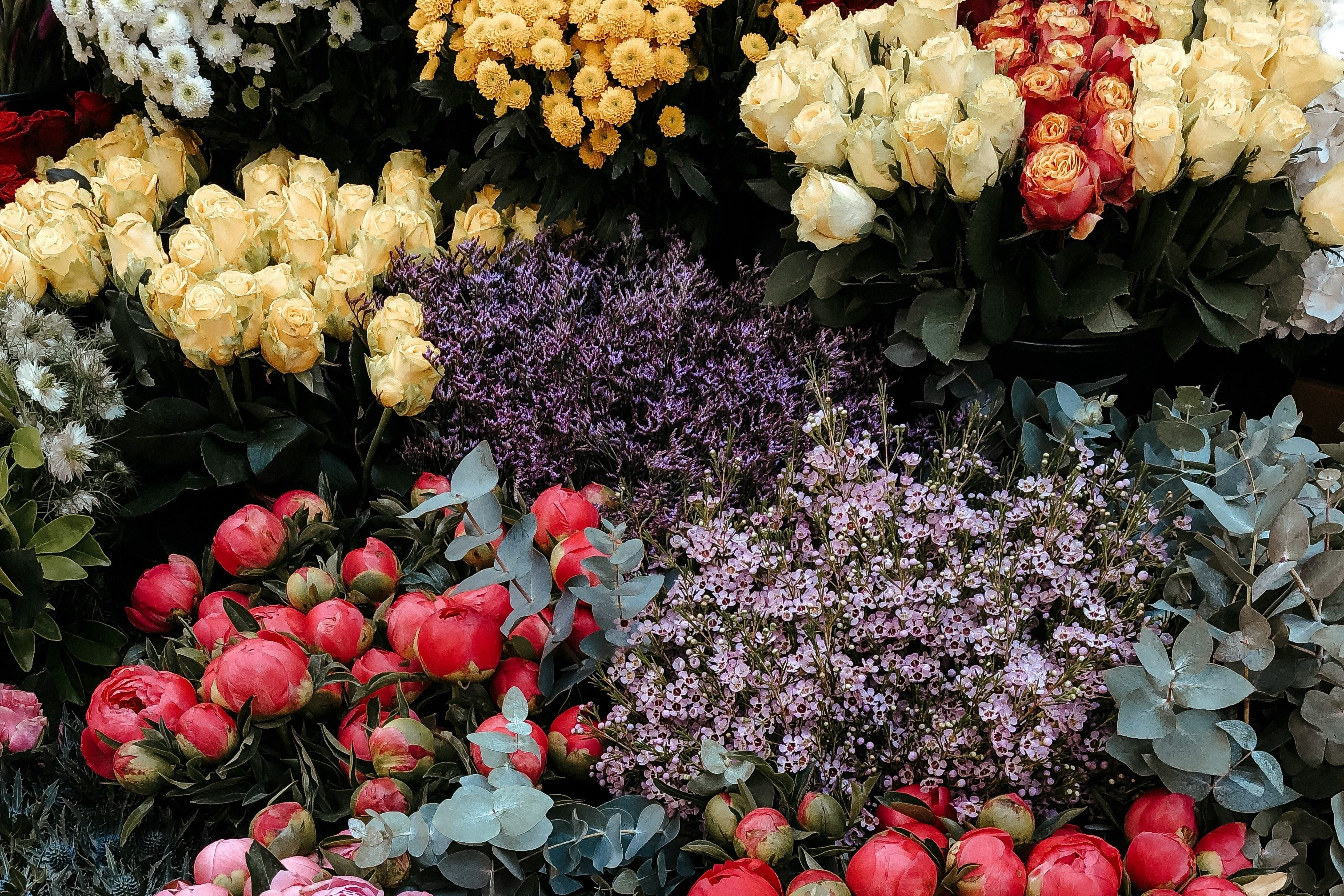 Contact – Bloom Cycle, A Non-Profit